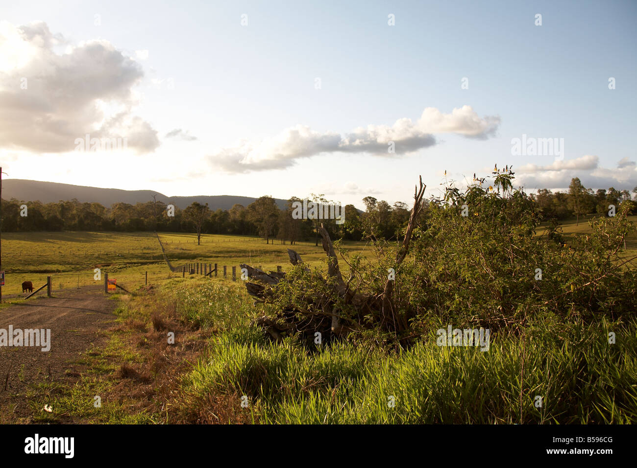 Beautiful scenic agricultural landscape with green fields and trees in ...