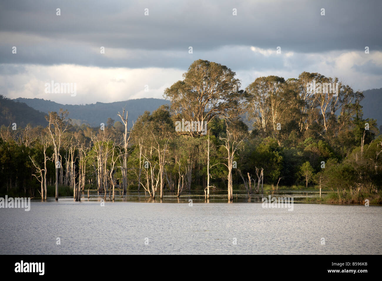 Beautiful scenic landscape with trees and cumulus clouds beyond lake in ...