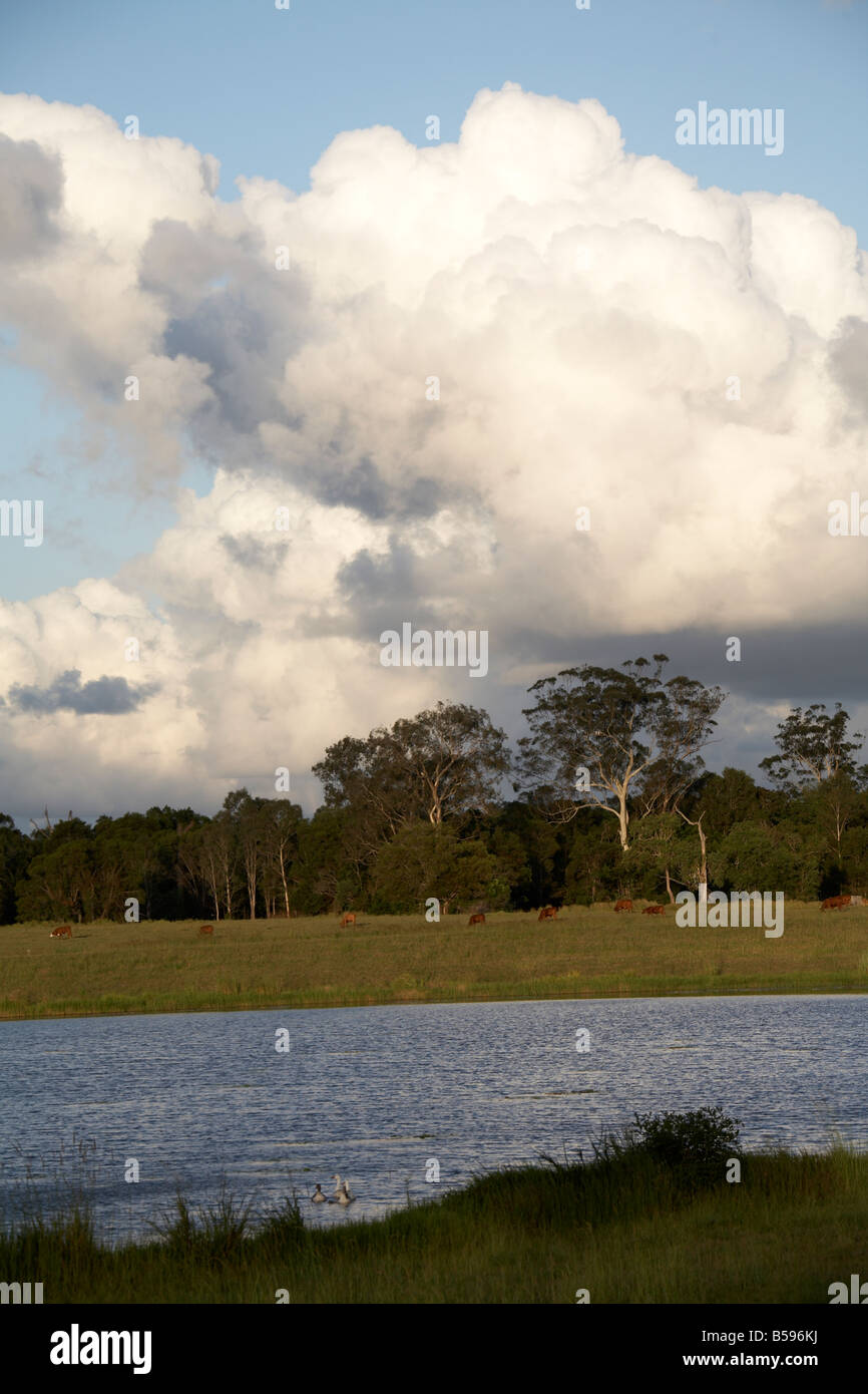 Beautiful scenic landscape with green fields trees and cumulus clouds ...