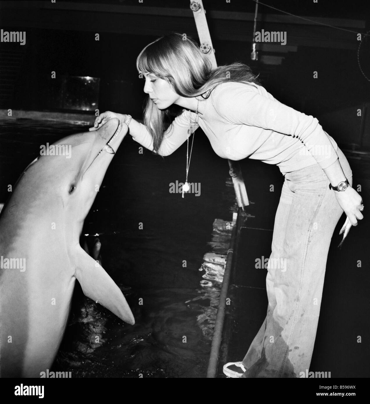 BrightonÛs Dolphinarium: Baby the youngest dolphin at BrightonÛs ...