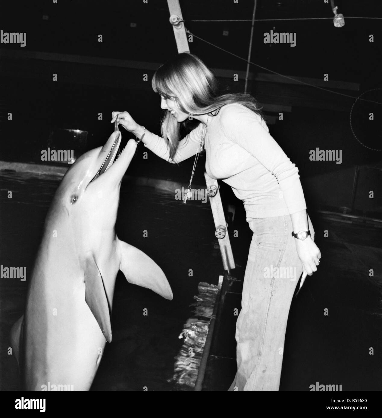 Trainer dolphinarium hi-res stock photography and images - Alamy