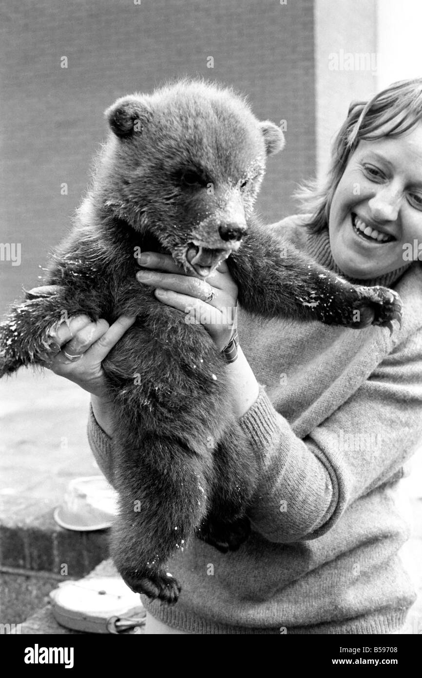 Cute brown bear Black and White Stock Photos & Images - Alamy