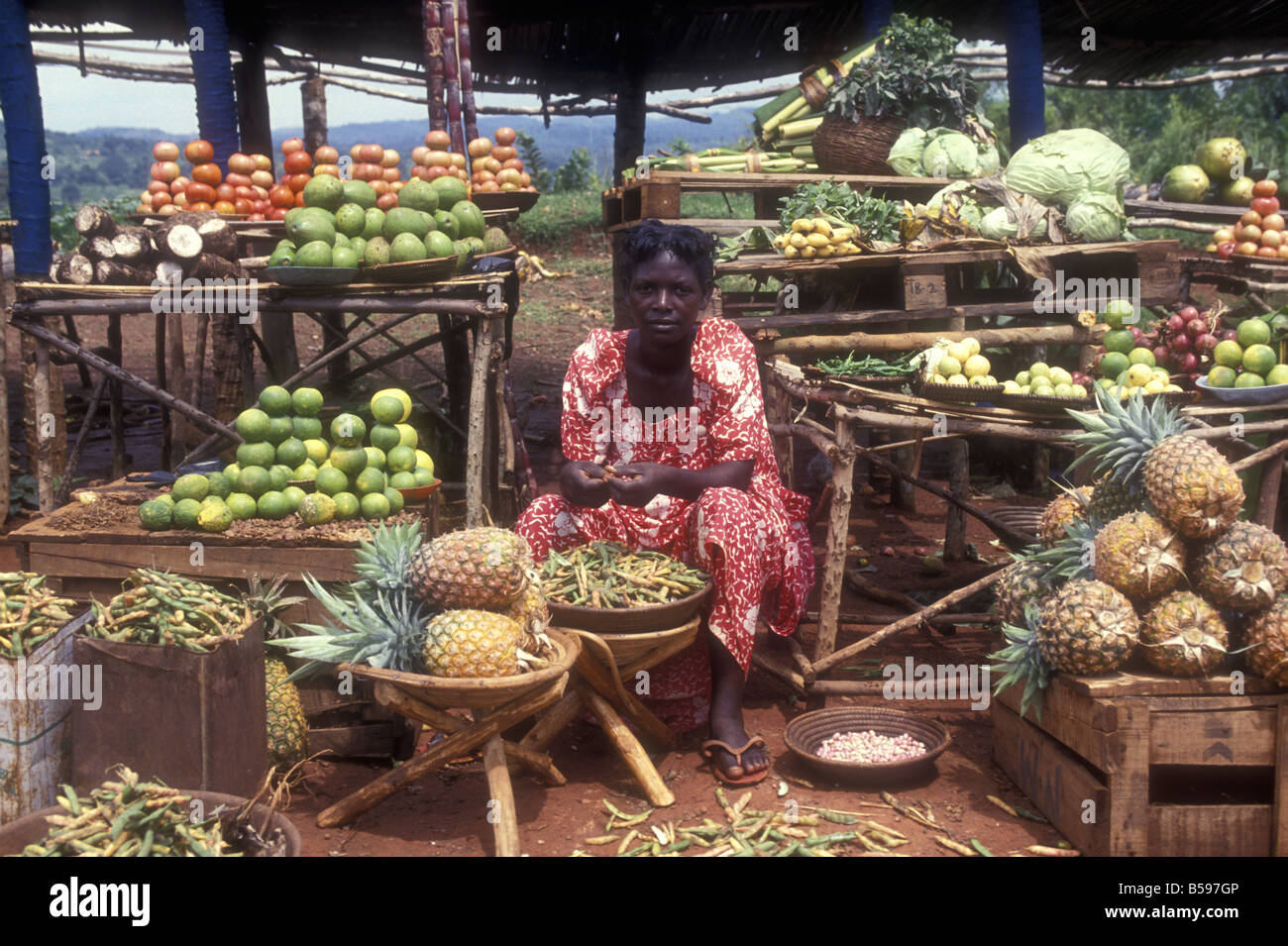 Black African woman sitting at her vegetable market stall Uganda Stock ...