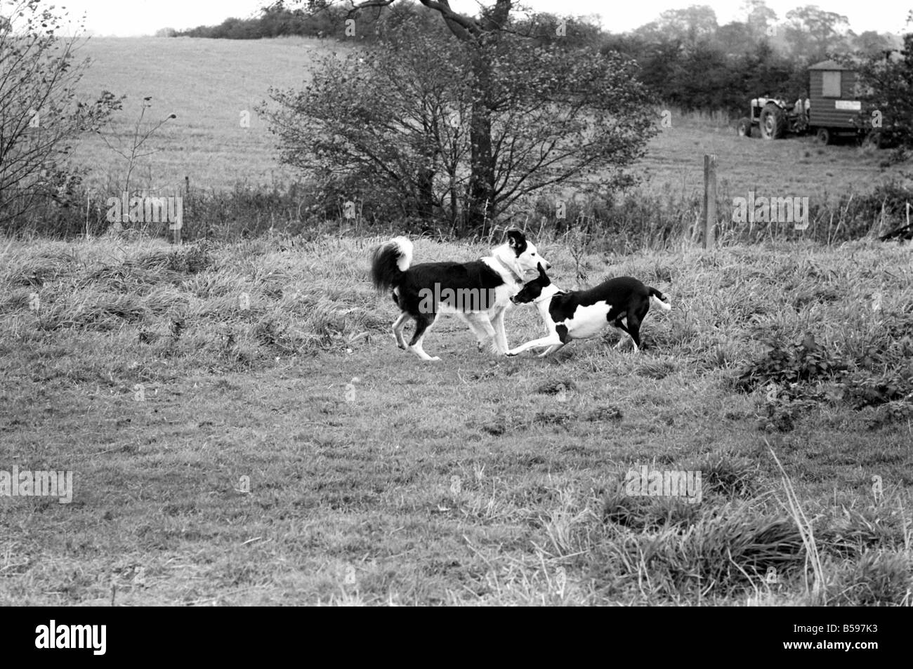 Consummated marriage hi-res stock photography and images - Alamy