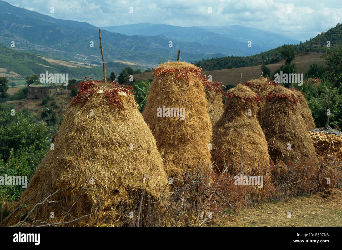 Tall haystacks hi-res stock photography and images - Alamy