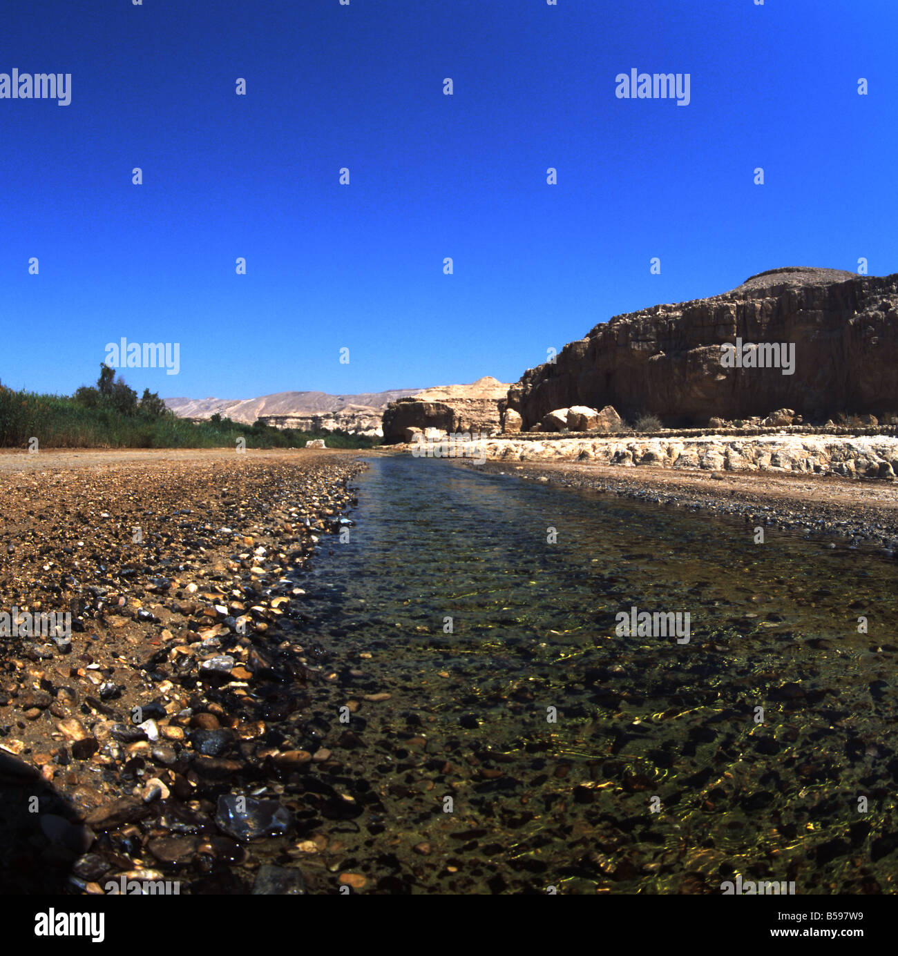 oasis in the wilderness of zin negev desert Israel Stock Photo - Alamy