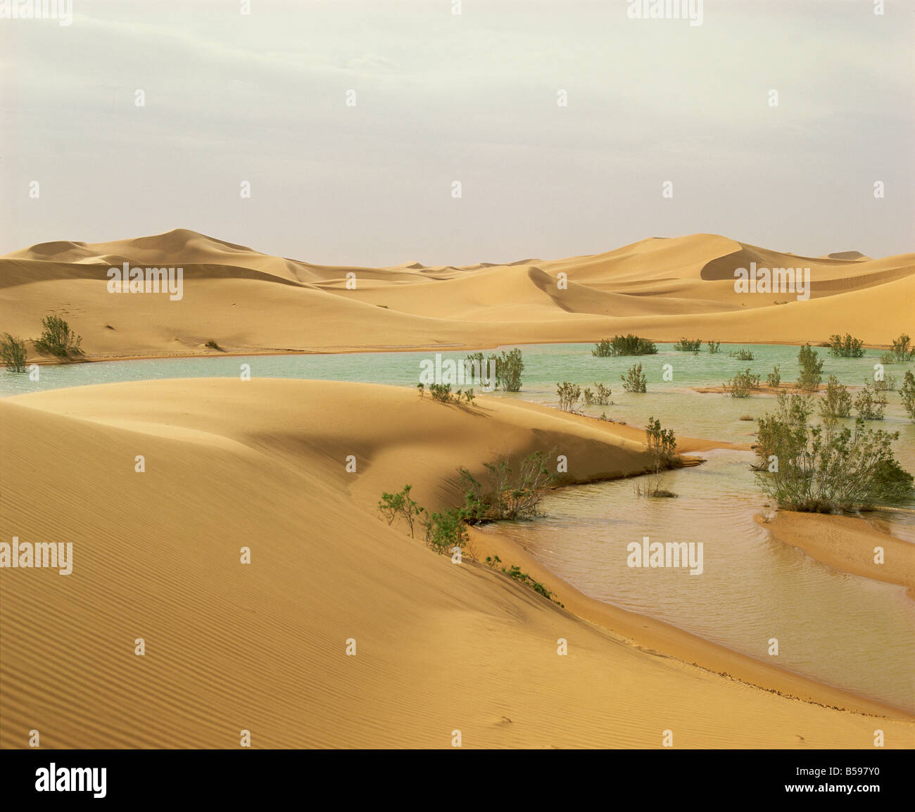 Flood waters in Algerian Sahara at edge of Grand Erg Occidental south ...