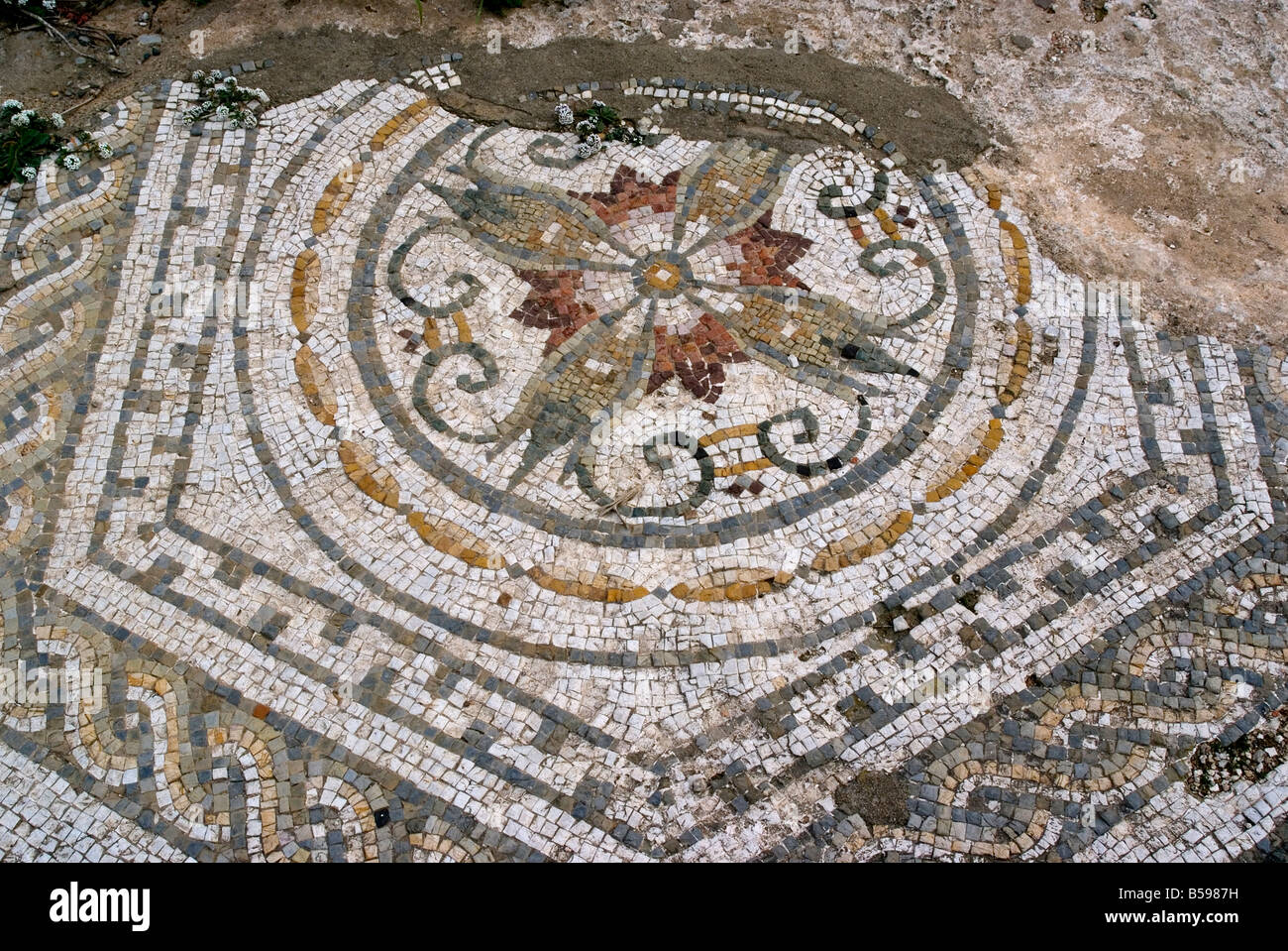 Mosaic from Roman site of Cherchell buried under the new city Cherchell ...