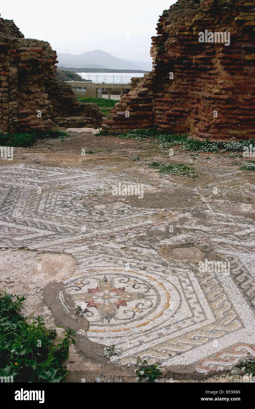 Ancient mosaic cherchell hi-res stock photography and images - Alamy