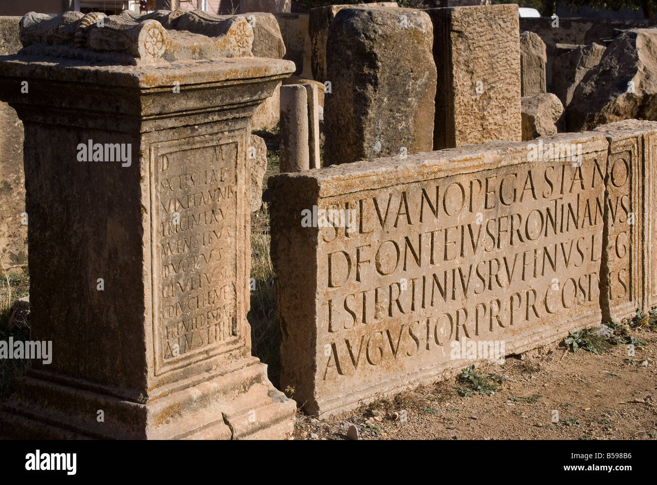 Inscriptions at the museum, taken from the Roman site of Lambaesis ...
