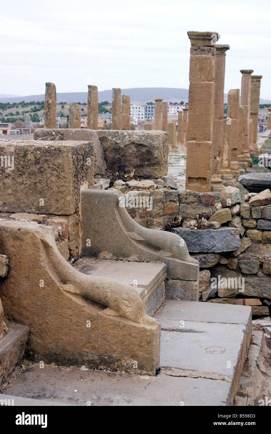 Latrine roman hi-res stock photography and images - Alamy