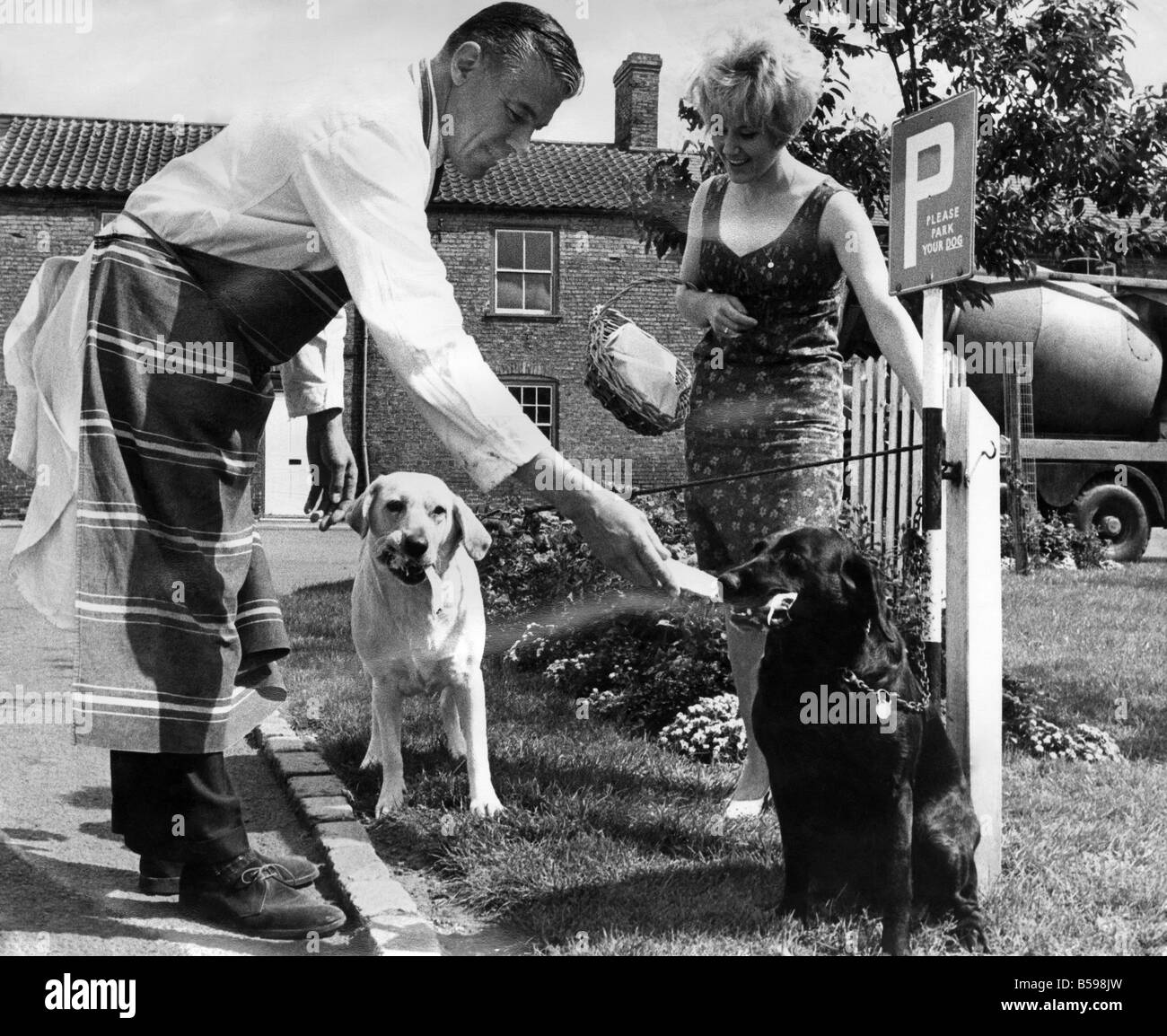 The dog post, complete with hooks, is in constant use outside the ...