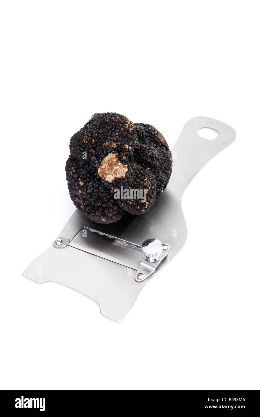 Black truffle on truffle slicer Stock Photo - Alamy