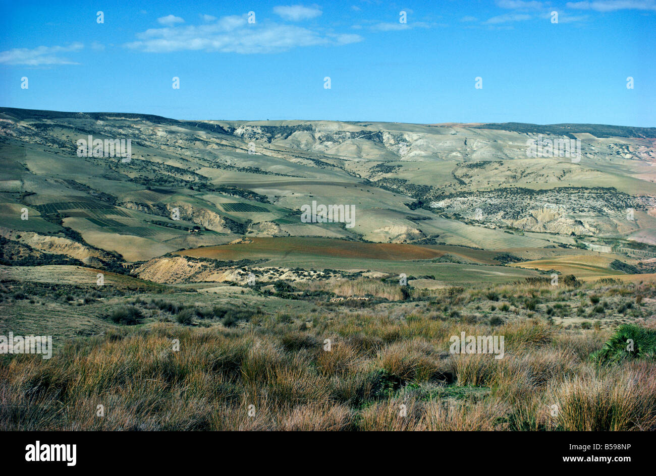 Oran algeria hi-res stock photography and images - Alamy