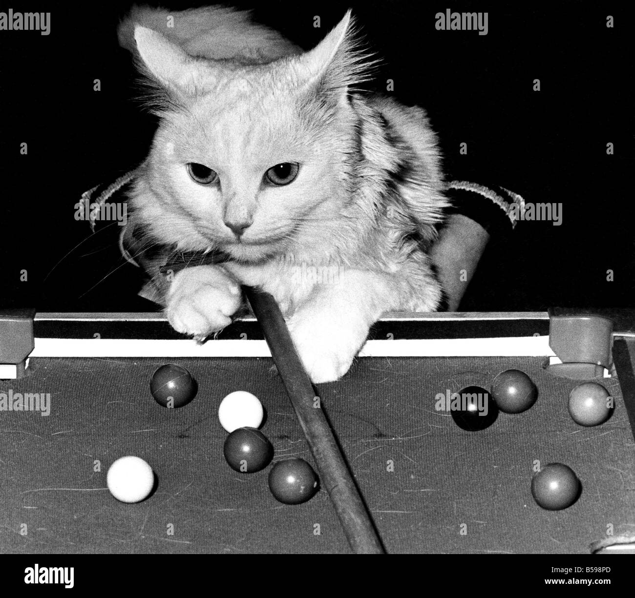 W and p Black and White Stock Photos & Images - Alamy