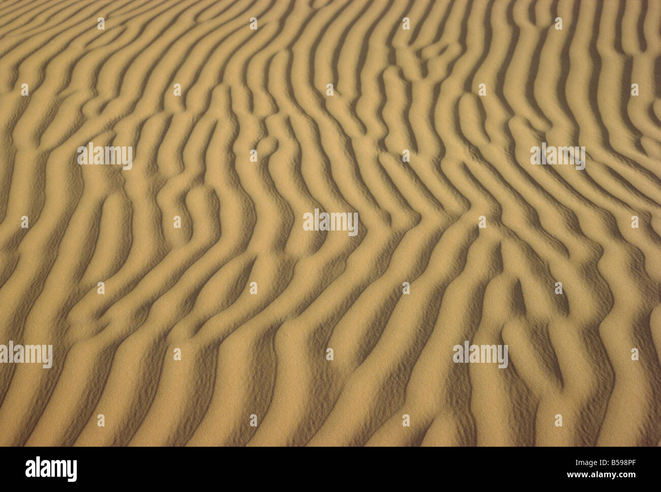 Algeria africa hi-res stock photography and images - Alamy