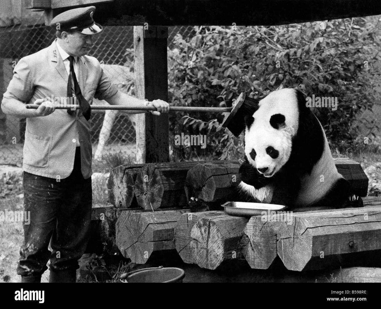 Cleaning zoo Black and White Stock Photos & Images - Alamy