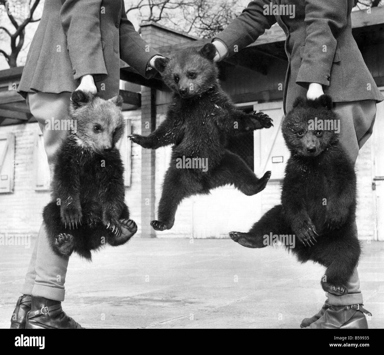 Ever spring Black and White Stock Photos & Images - Alamy