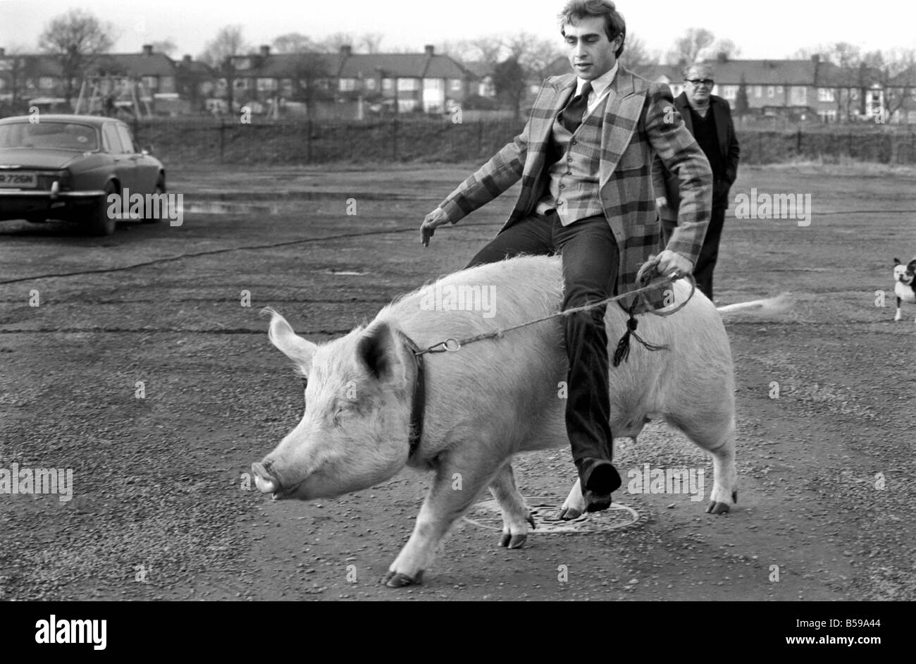 Animals: Humour. Porker Walker. Thorsten Kohrmann with Anna his ...