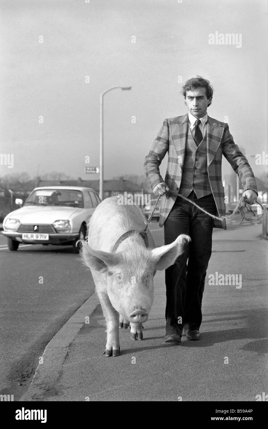 Animals: Humour. Porker Walker. Thorsten Kohrmann with Anna his ...