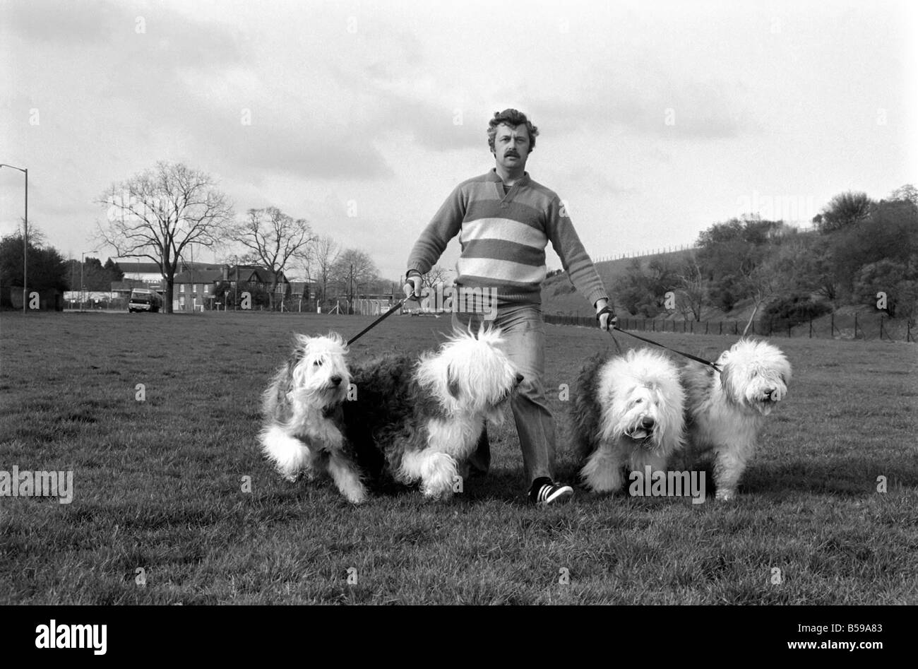 Dulux paint dog Black and White Stock Photos & Images - Alamy