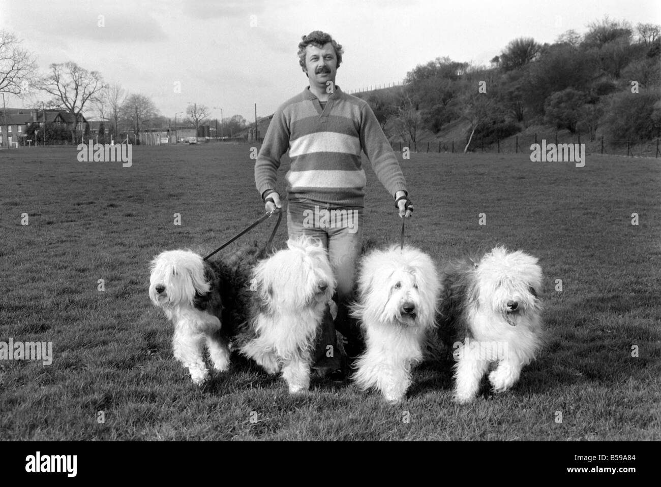 Dulux paint dog Black and White Stock Photos & Images - Alamy