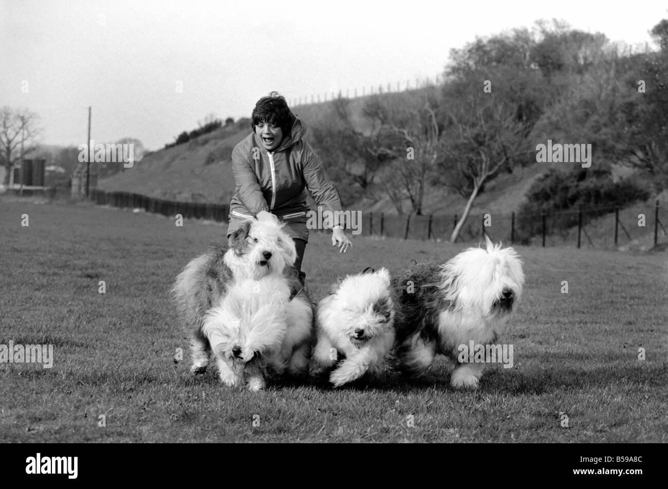 Animals. Dogs: Duke the Dulux dog has 3 understudies they are Tania ...