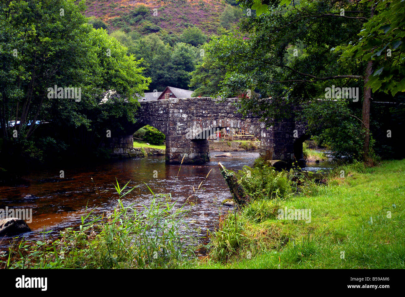 Fingle Bridge, in the Teign Valley, Devon, England Stock Photo - Alamy
