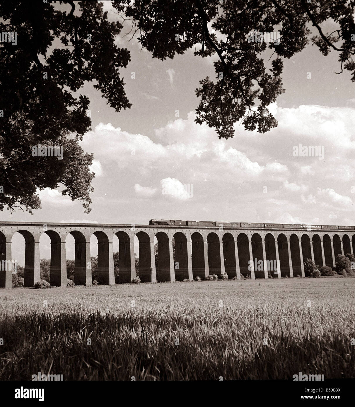 A general view of Railway Viaduct in Digswell Hertfordshire in England ...