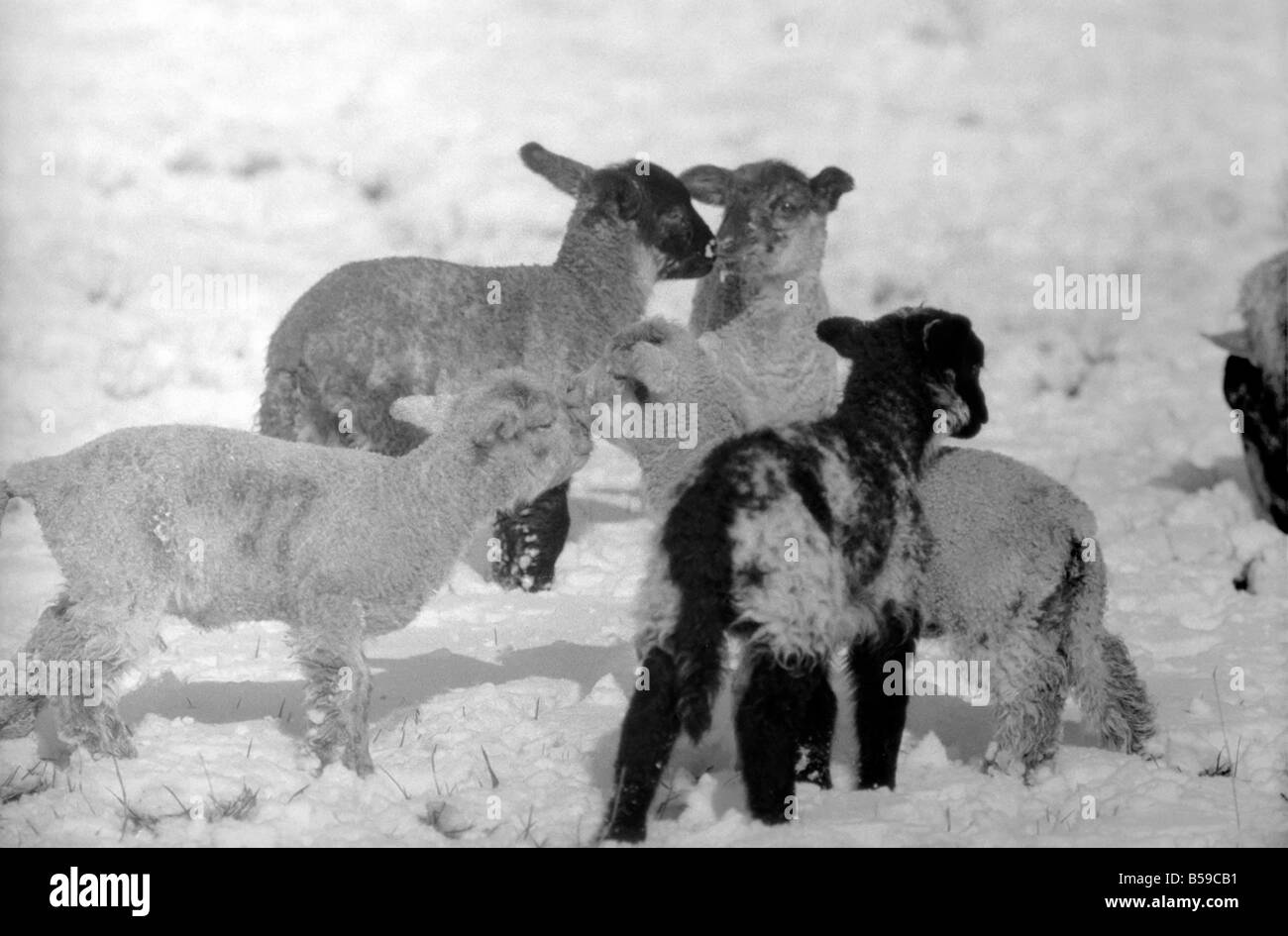 Kent farm 1970s hi-res stock photography and images - Alamy