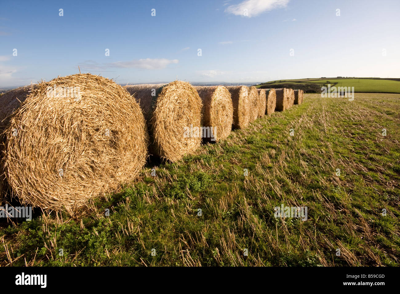 A row of hay bales in a stubble covered Cornish field Stock Photo - Alamy