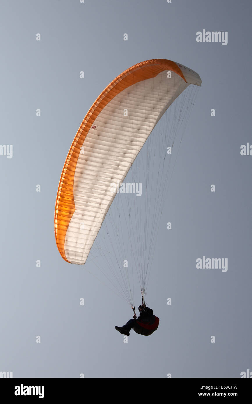 Pilot paragliding flying paraglider above Chale Bay south coast sea ...