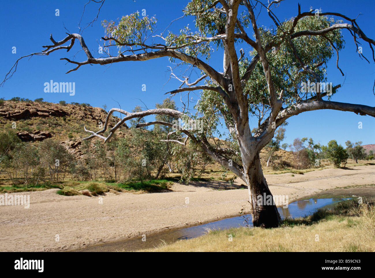 Dry bed of Todd River Alice Springs Northern Territory Australia ...