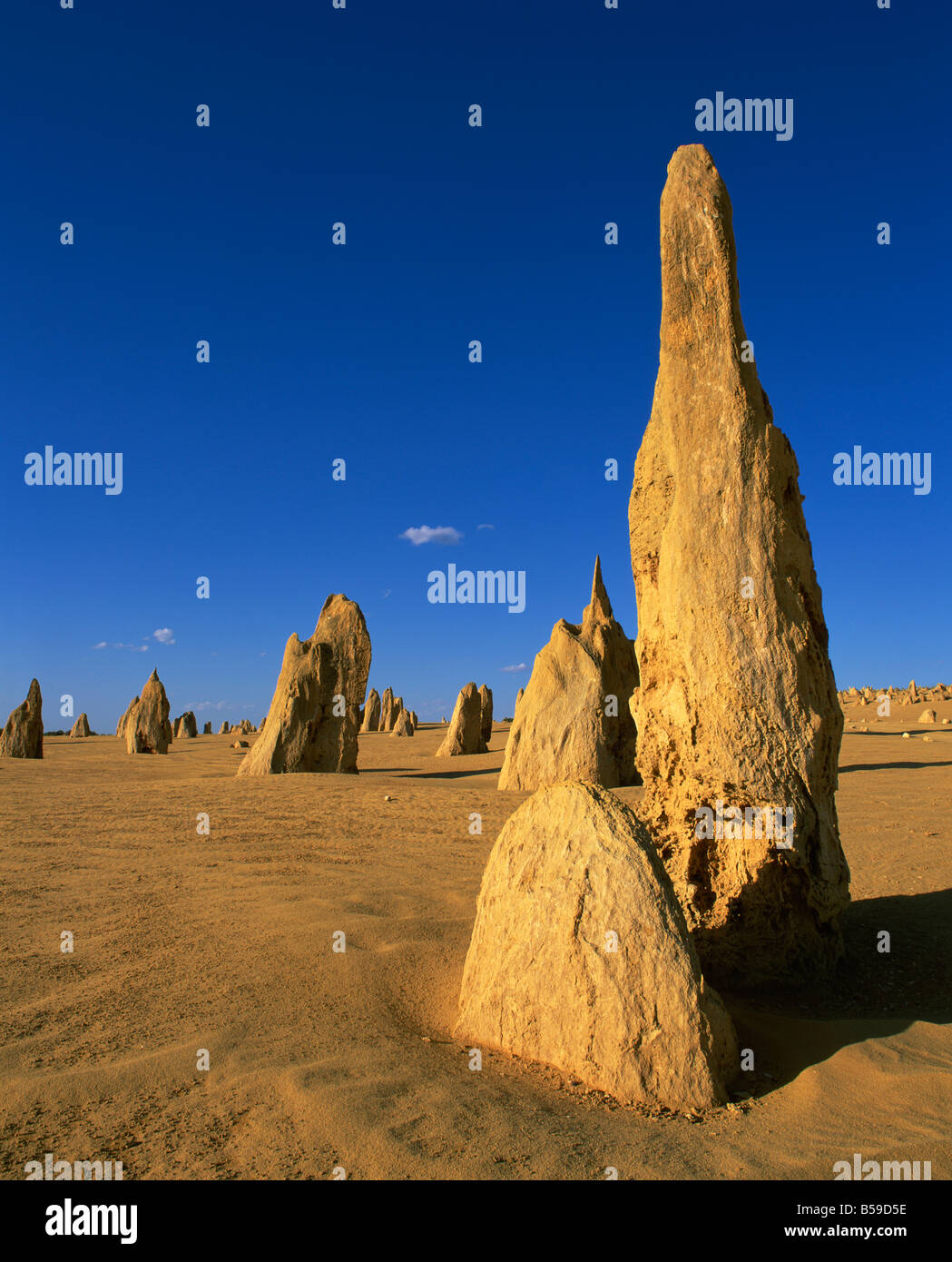 Rock formations known as the Pinnacles in desert of the Nambung ...