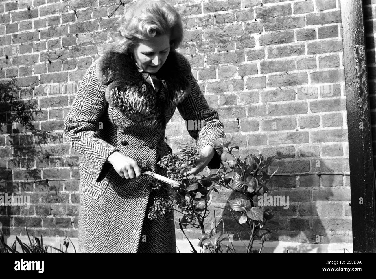 Mrs. Margaret Thatcher enjoying the sunshine in her front garden of her ...