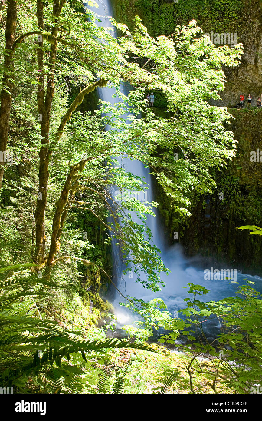 Tunnel falls hi-res stock photography and images - Alamy