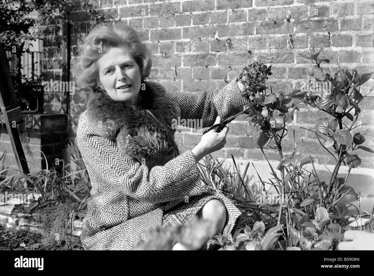Mrs. Margaret Thatcher enjoying the sunshine in her front garden of her ...