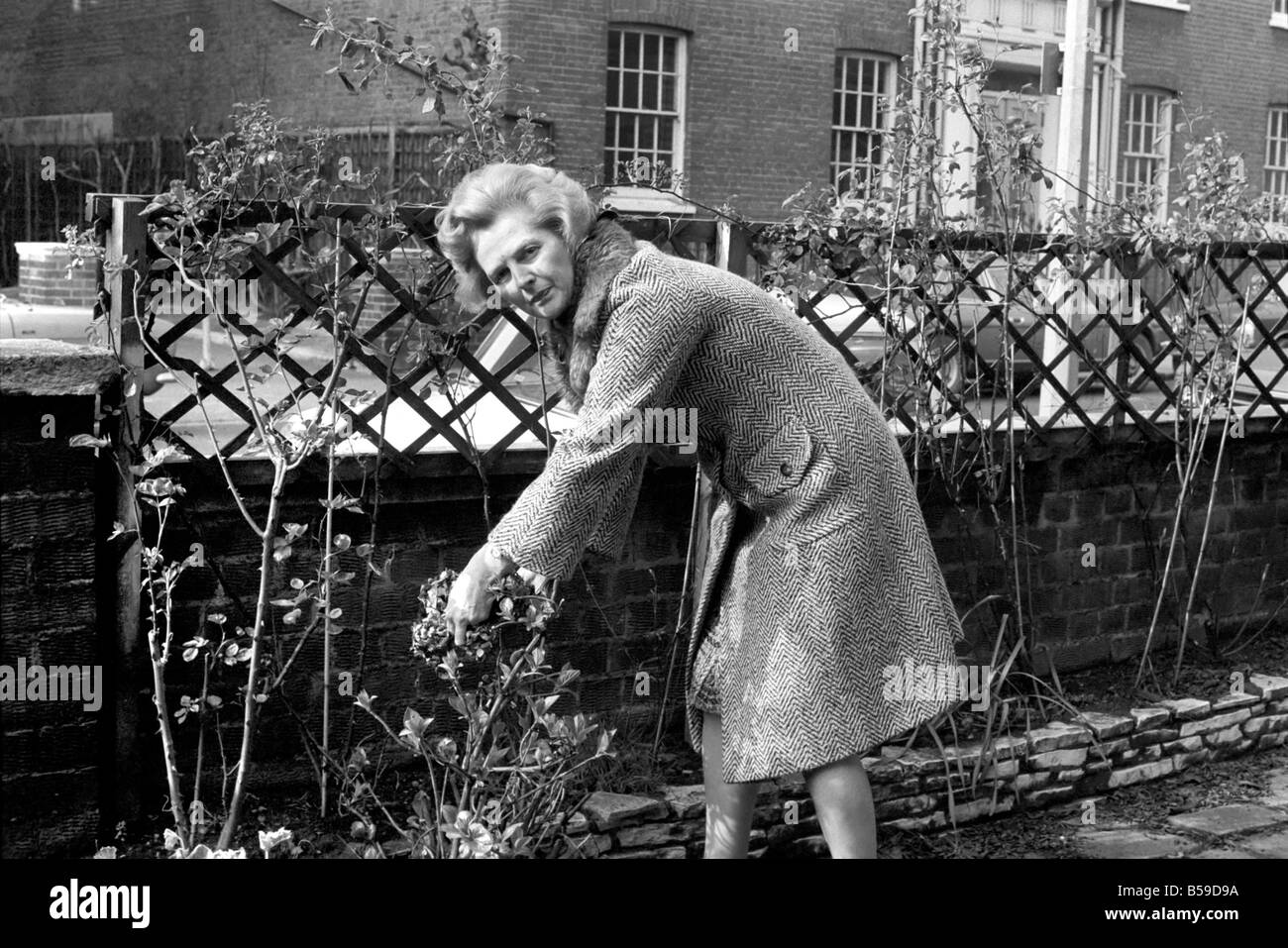 Mrs. Margaret Thatcher enjoying the sunshine in her front garden of her ...