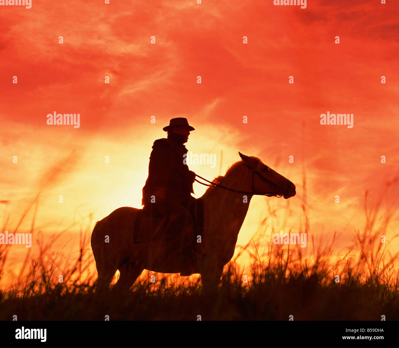 Stockman, Queensland, Australia, Pacific Stock Photo - Alamy