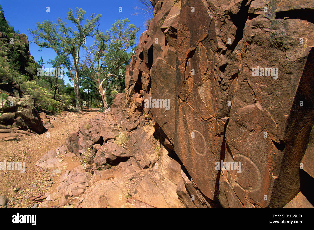 Adnjamathanha Aboriginal engravings, Sacred Canyon, Flinders Range ...
