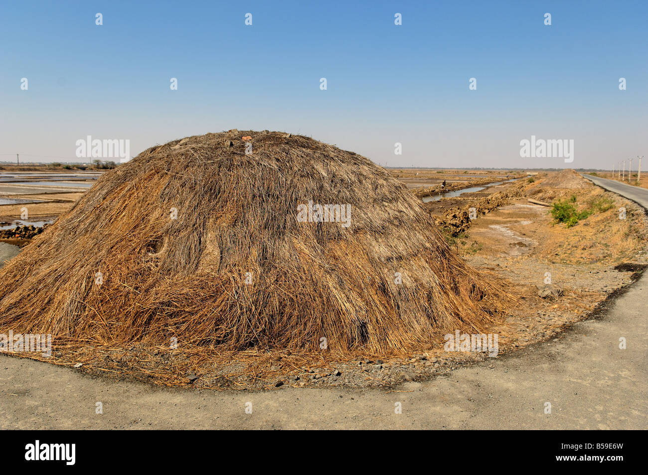 India salt gujarat hi-res stock photography and images - Alamy