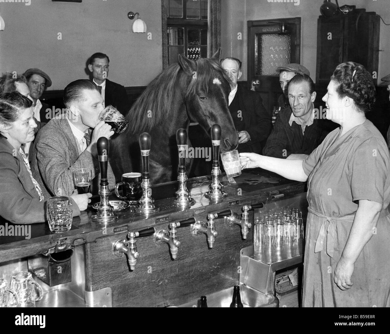 Woman drinking alcohol 1950s hi-res stock photography and images - Alamy