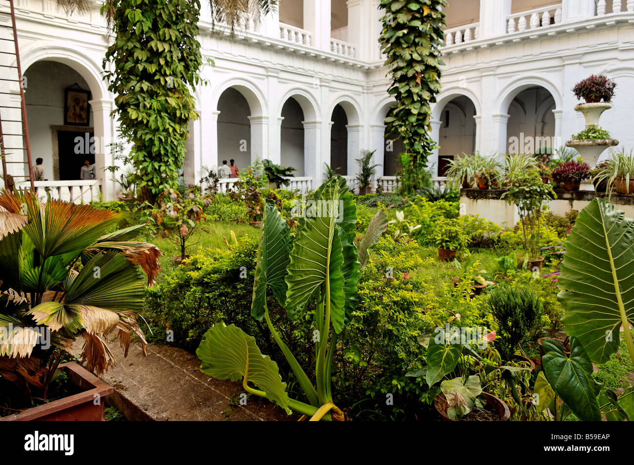 Courtyard of the Basilica of Bom Jesus, Old Goa India Stock Photo - Alamy