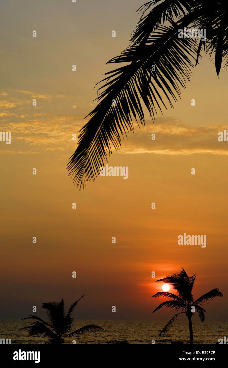 Sunset and Palm Trees, Benaulim Beach, South Goa, India Stock Photo - Alamy