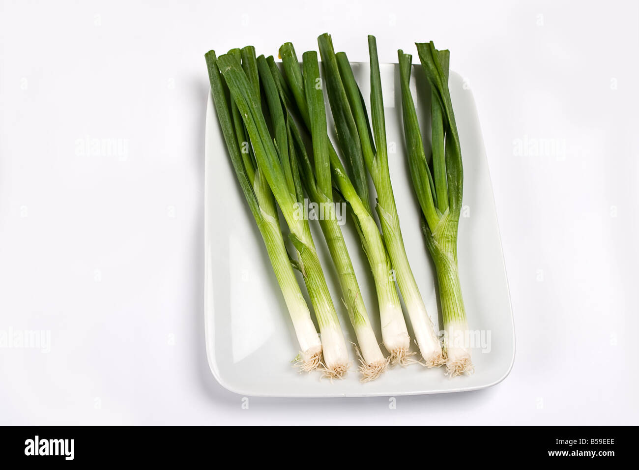Scallions spring onion salad onion allium hi-res stock photography and ...