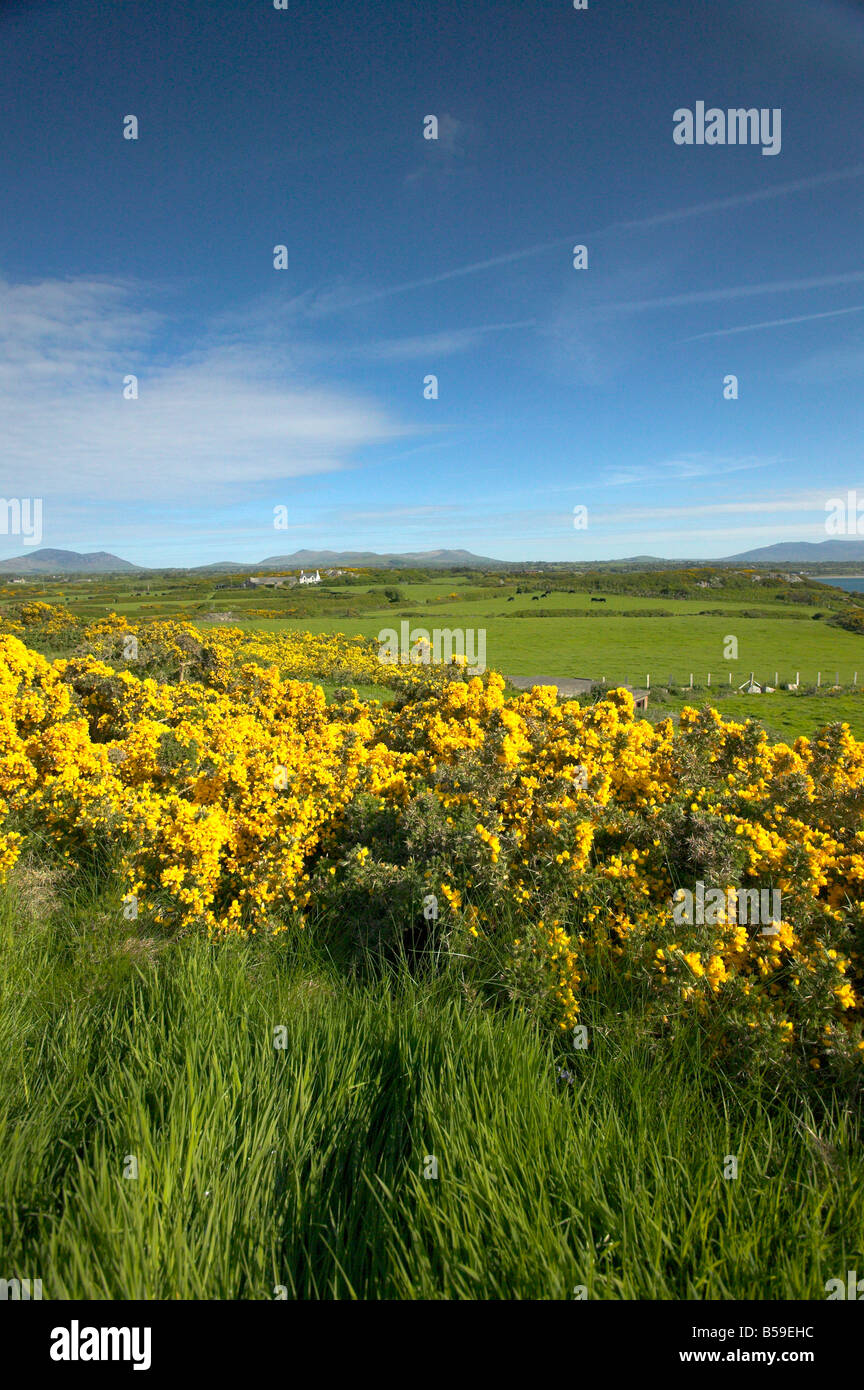 llyn peninsula wales Stock Photo - Alamy