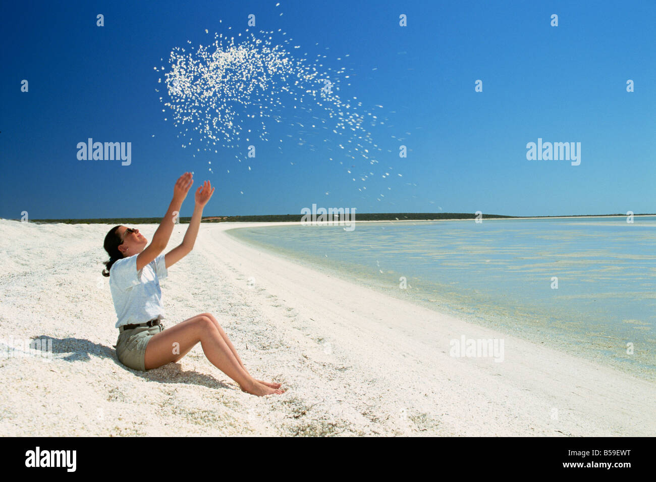Shell Beach, Shark Bay, Western Australia, Australia, Pacific Stock ...