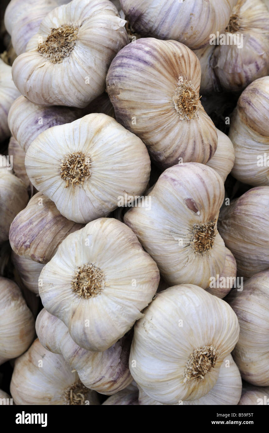 Bundles of garlic on sale at a French market Stock Photo - Alamy