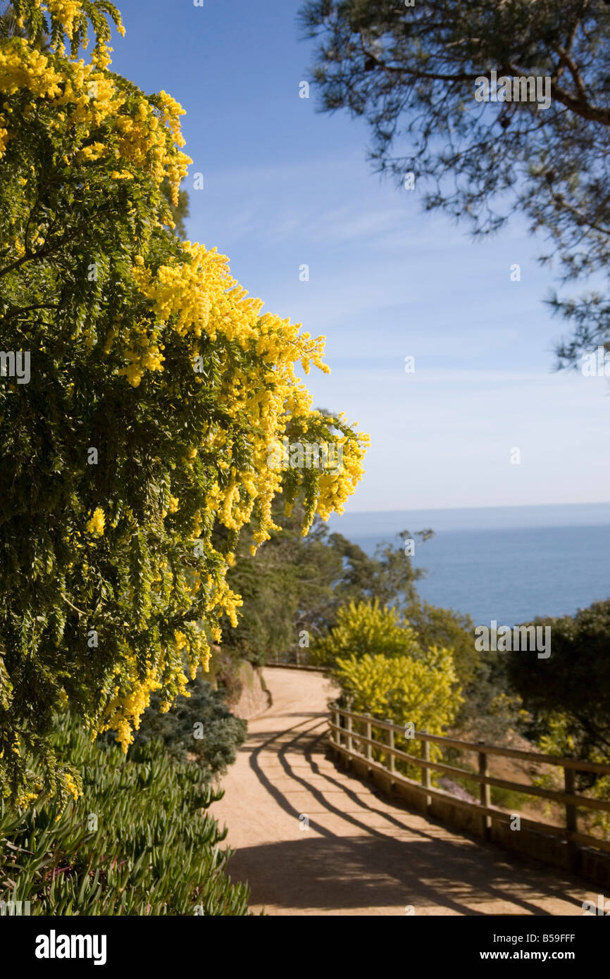 The Botanical Gardens of Cap Roig on the Cami de ronda costa brava ...