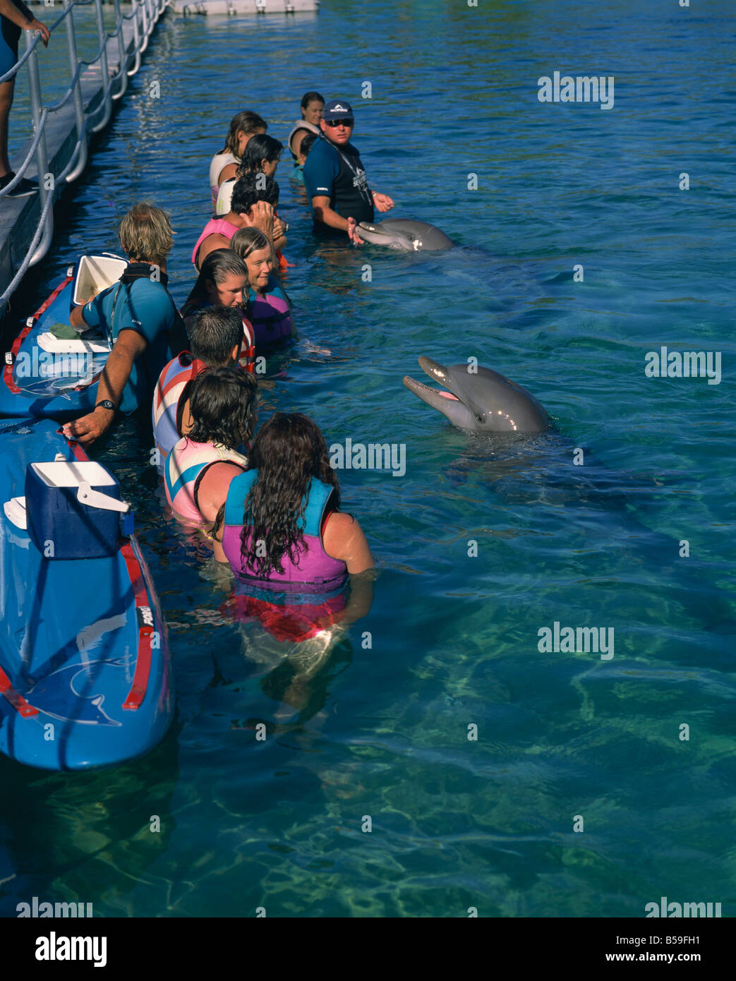A group of people swimming with the dolphins at Sea World in Surfers ...